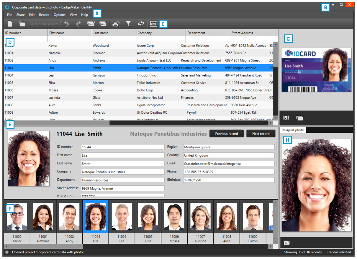 Interface - BadgeMaker